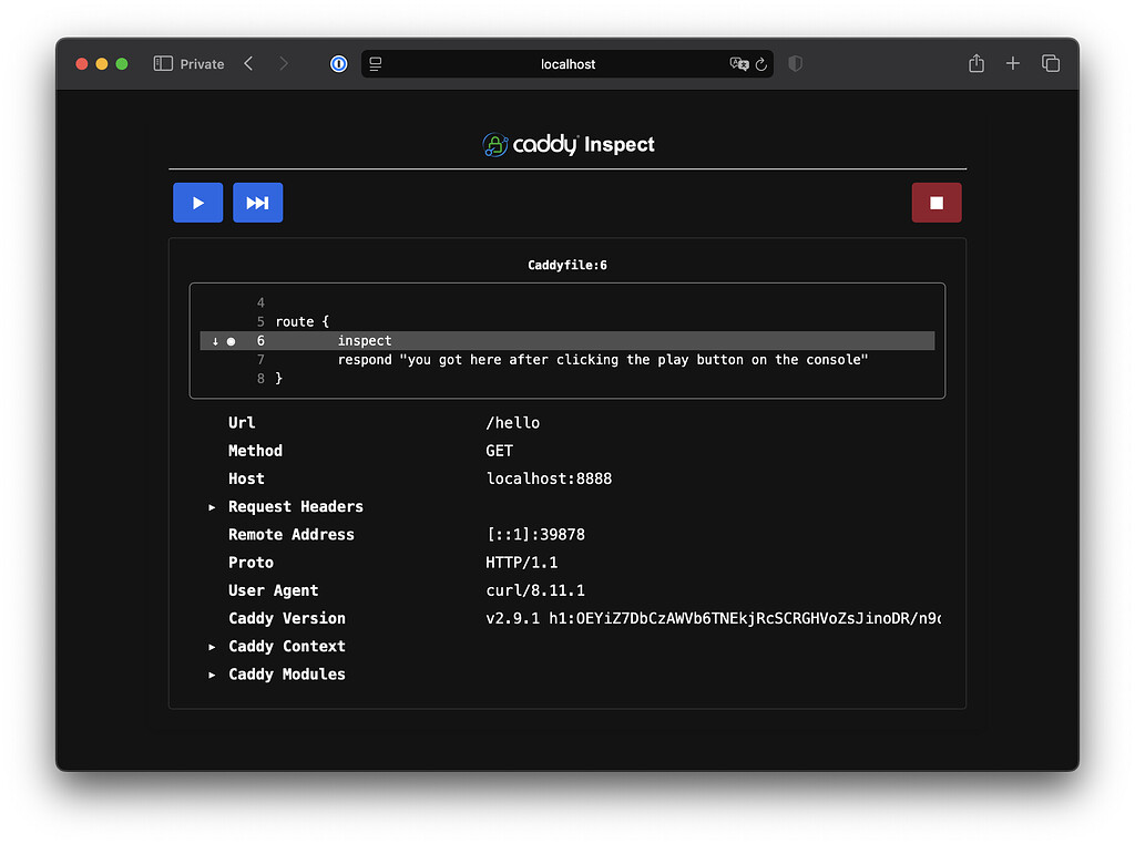 Inspecting Caddy with the Inspect plugin - Plugins - Caddy Community