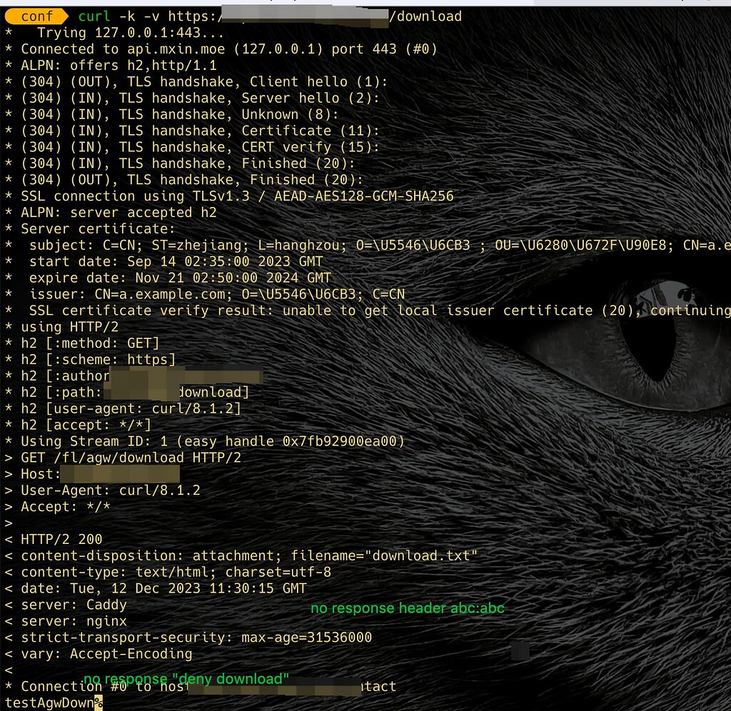 Replace Response For Deny Download Not Work Help Caddy Community